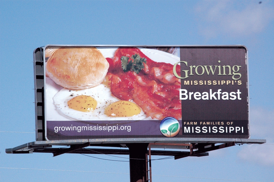 Mississippi farmers: messages to the public | Farm Progress