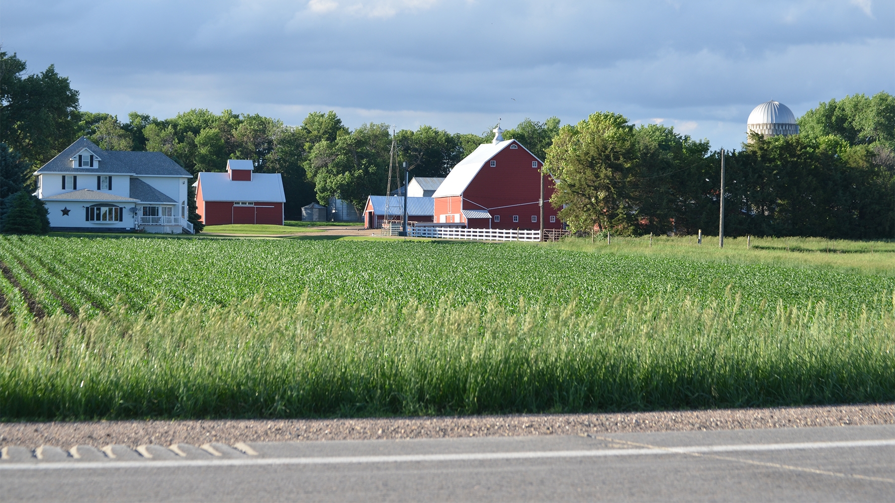 Farm families honored for their longevity
