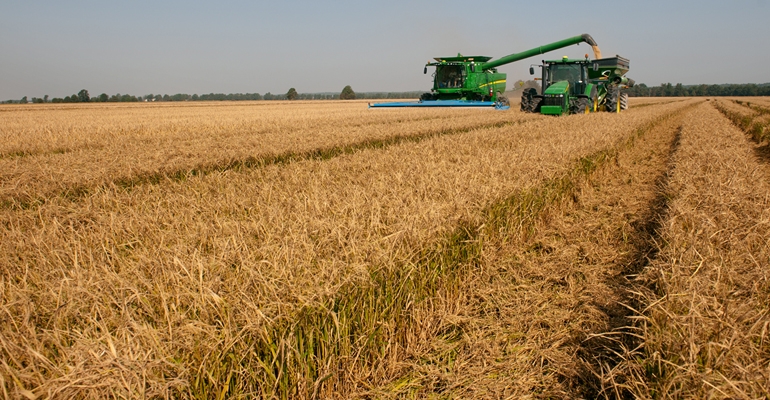 0% financing on Horizon Ag seed and BASF crop protection products