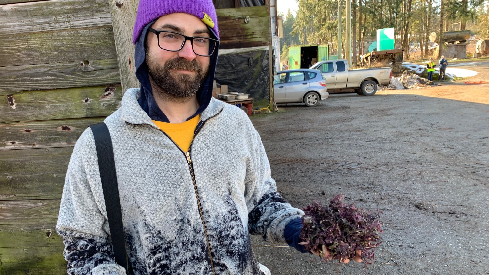 Seaweed supplement reduces cattle methane, boosts feed efficiency