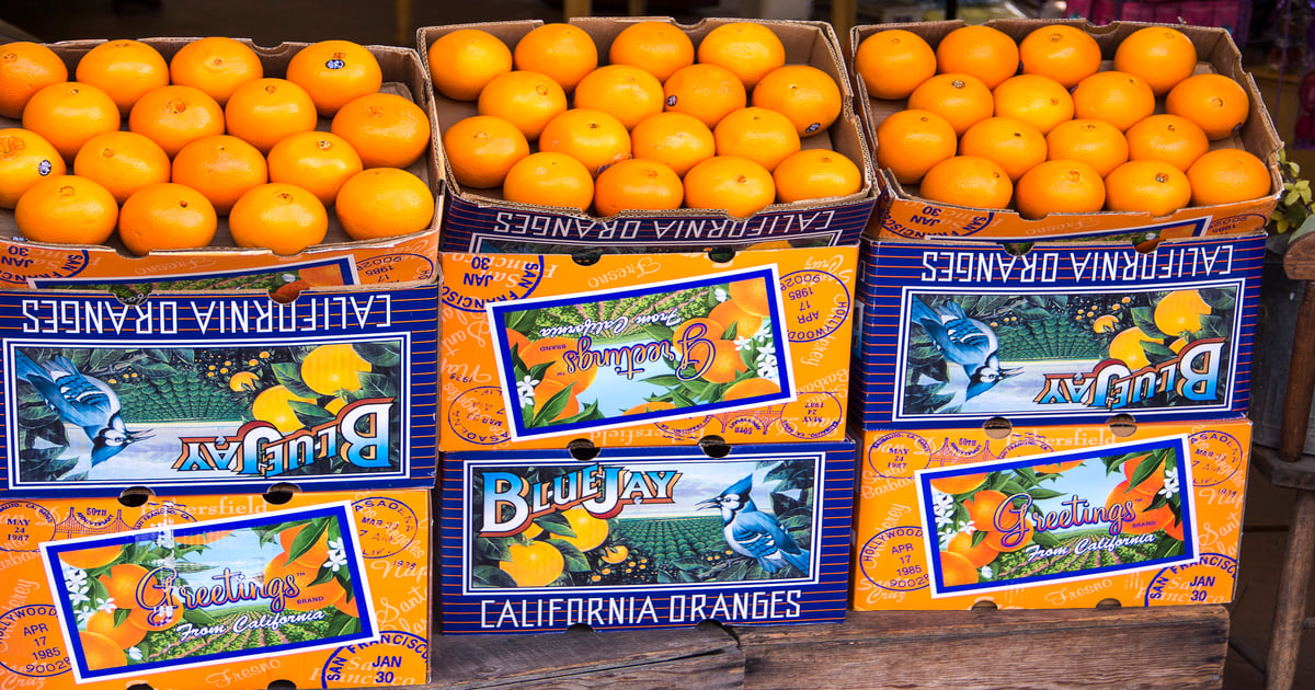 California projected to harvest 24 million cartons of Valencia oranges