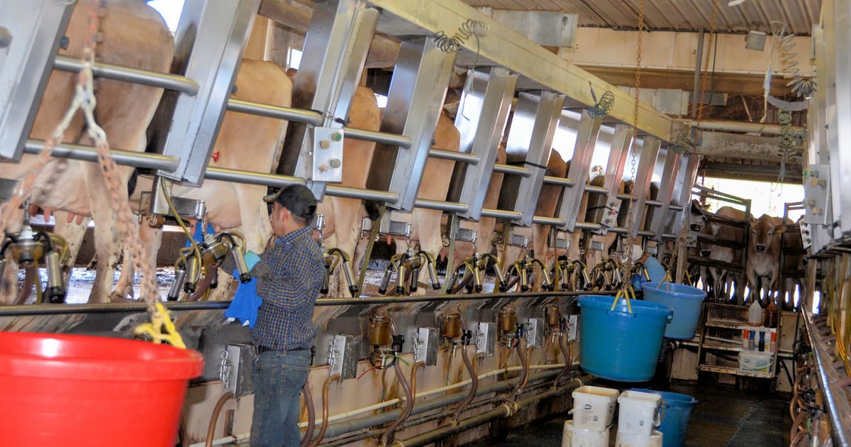 Need a relief milker because of COVID-19? NOFA-VT can help