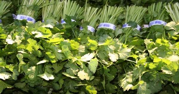 Safe veggies: LGMA syncs with Produce Safety Rule