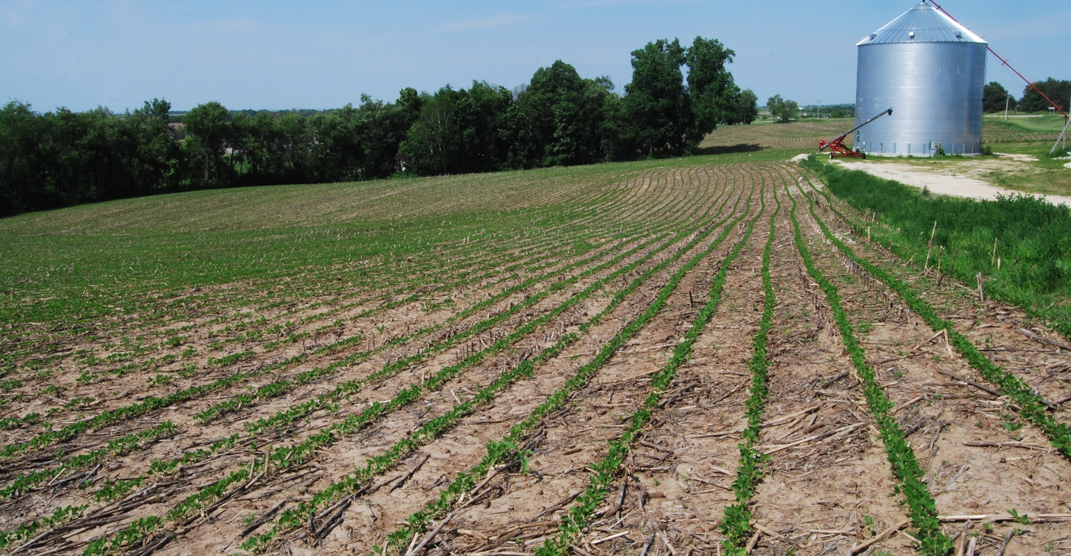 Soybean spraying tips