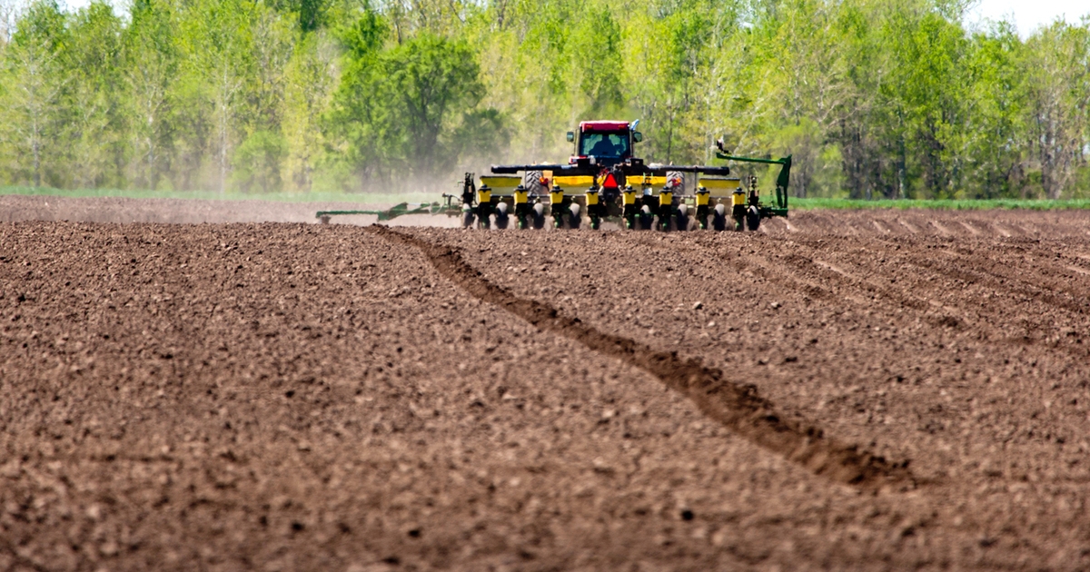 USDA surveys 2017 planting intentions