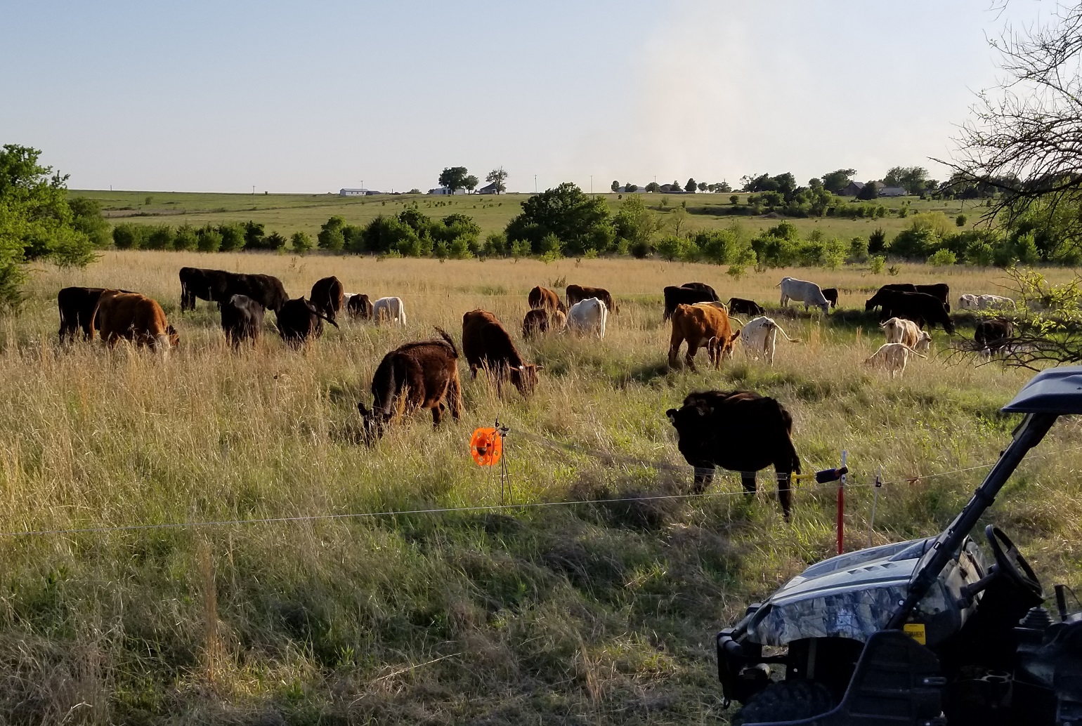 Six big rules of the natural model