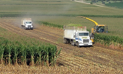 Tips for harvesting and making good corn silage