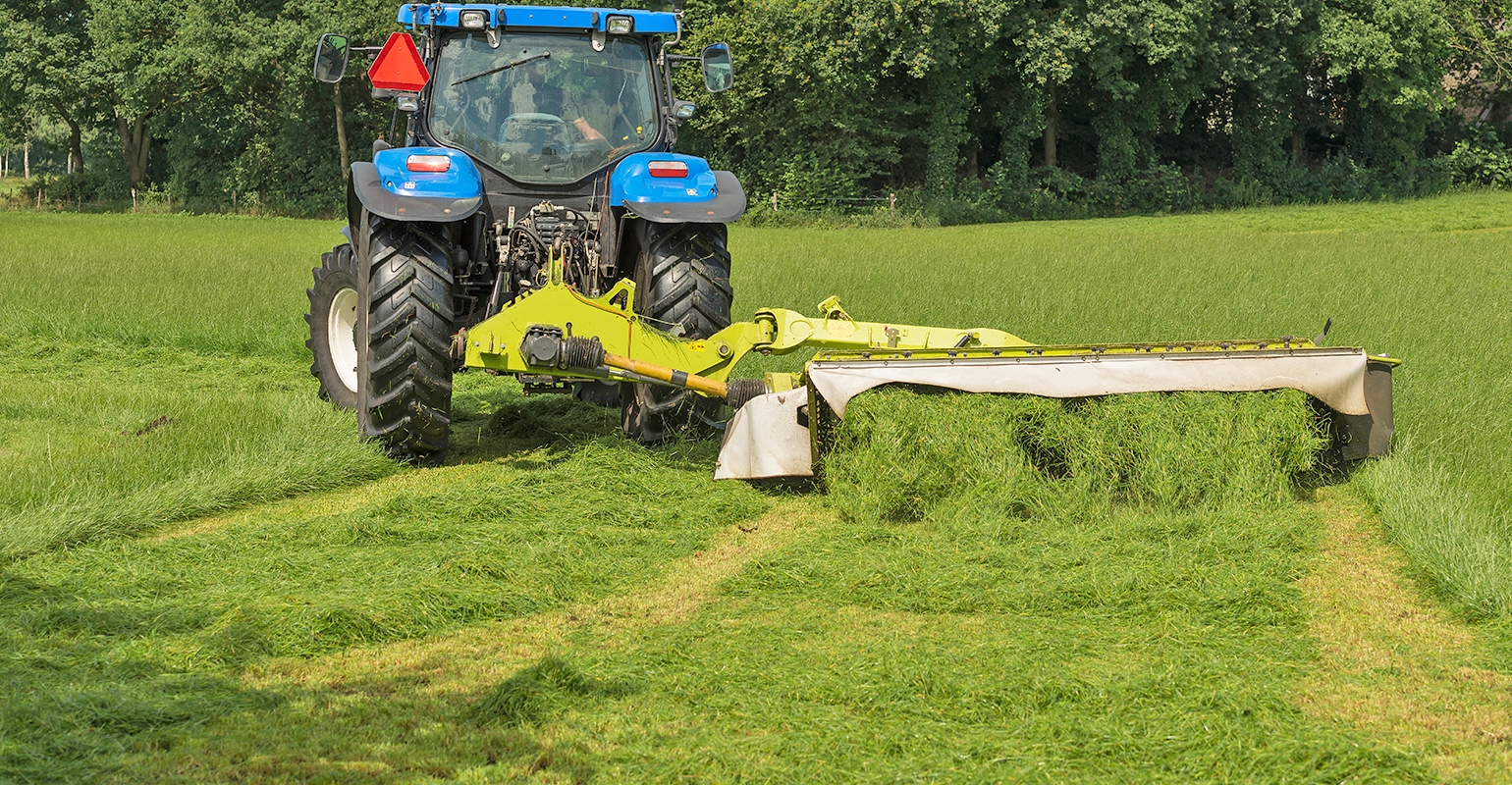 3 ways to keep hay fields from becoming 'ecological traps' for wildlif