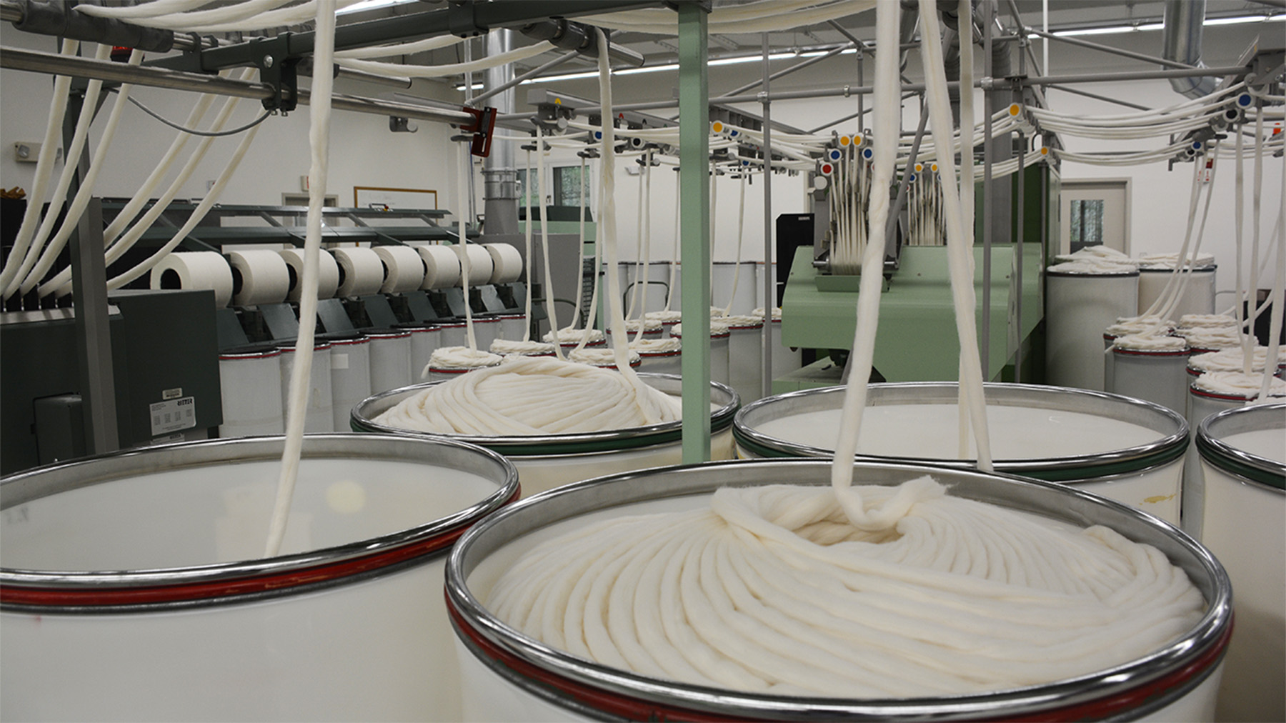 Plant not plastics: Choose cotton for comfort and nature