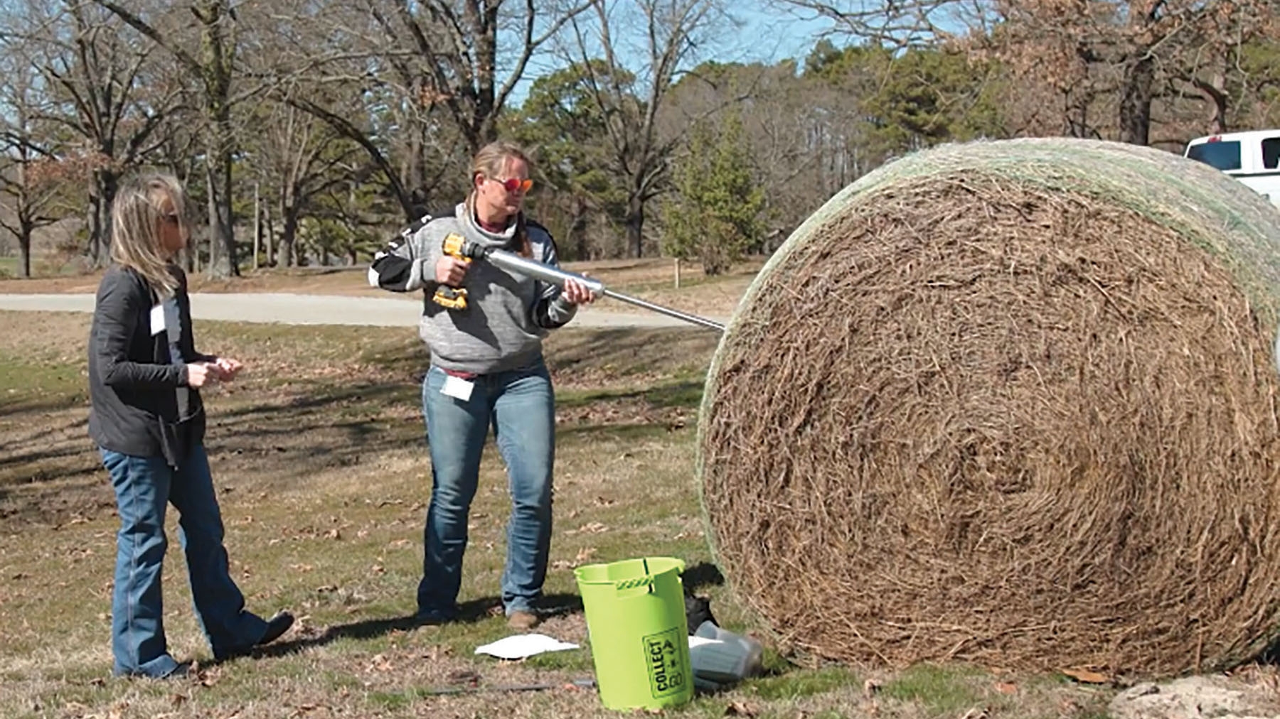 Hay testing is essential for livestock nutrition