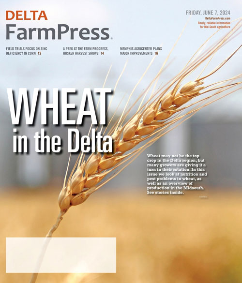Delta Farm Press Magazine Issues