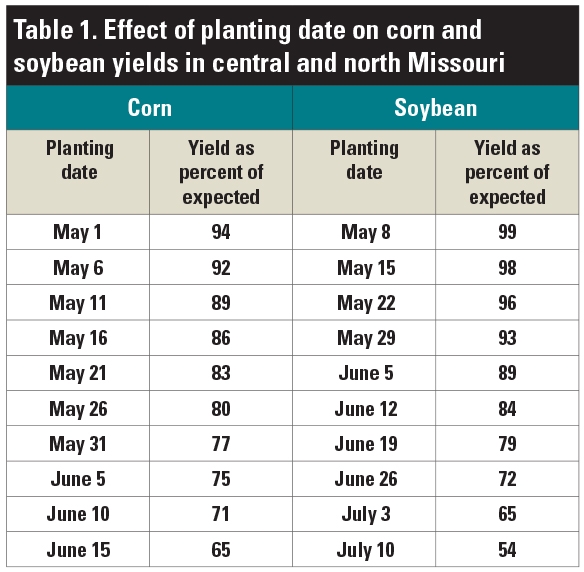 Should I replant corn, soybeans after the flood?