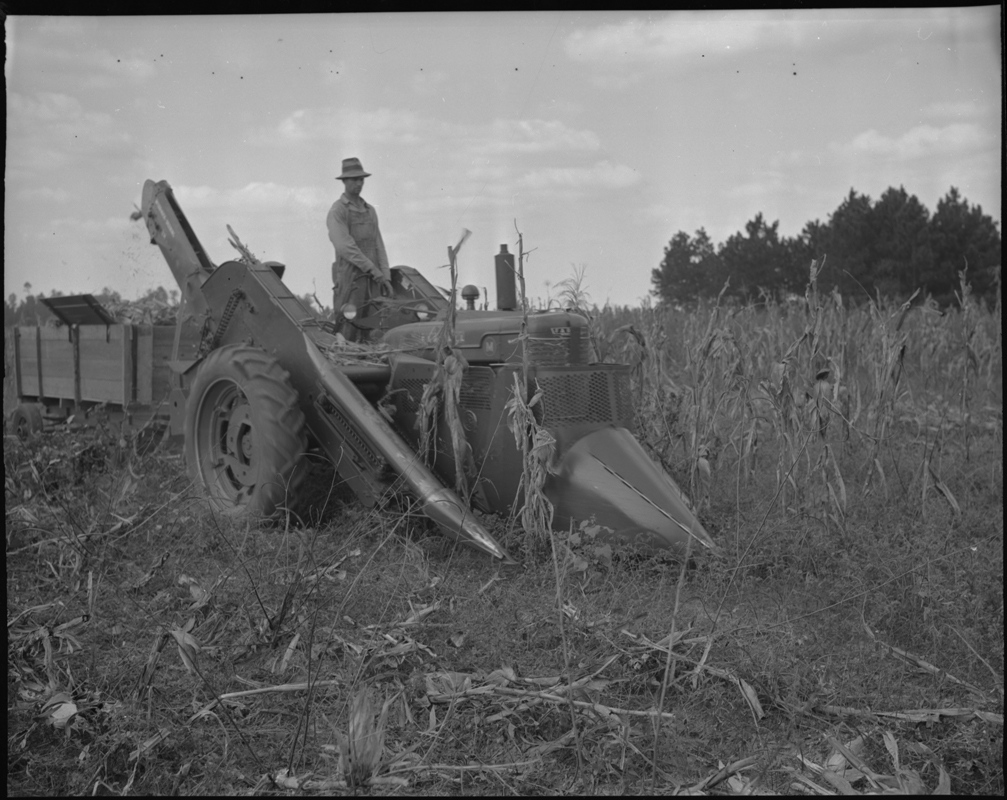 South Georgia corn harvest from 1945 | Farm Progress