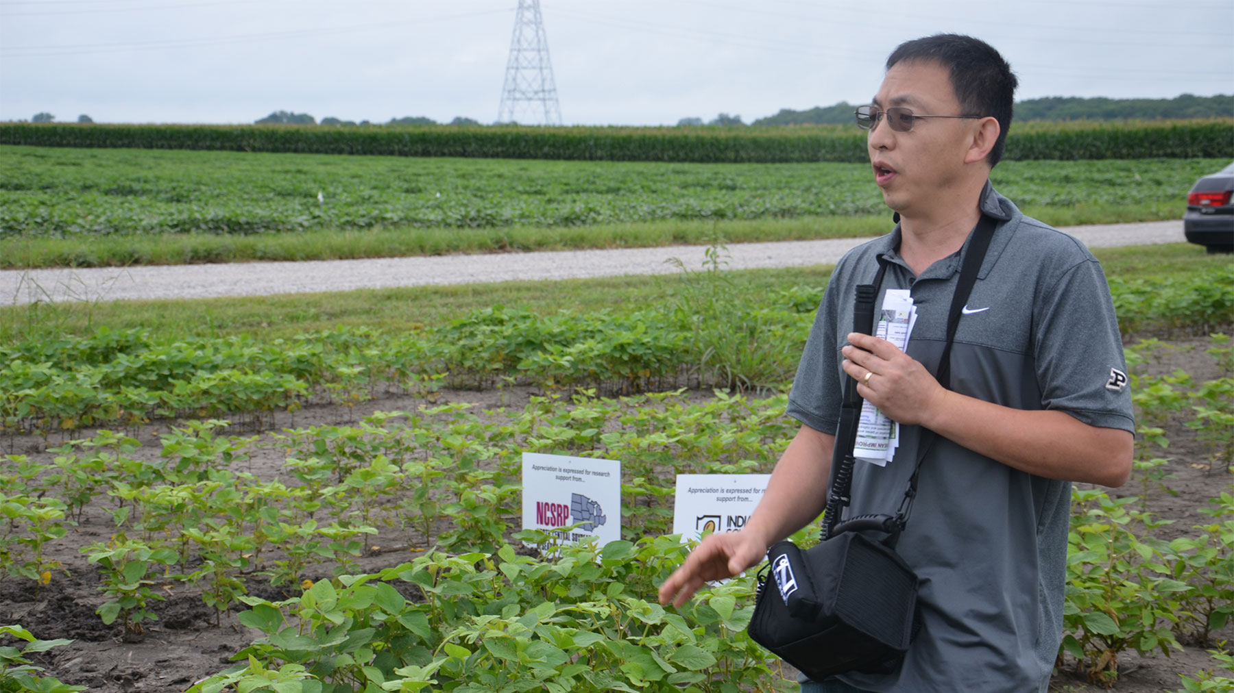 Biotech discovery will improve soybeans