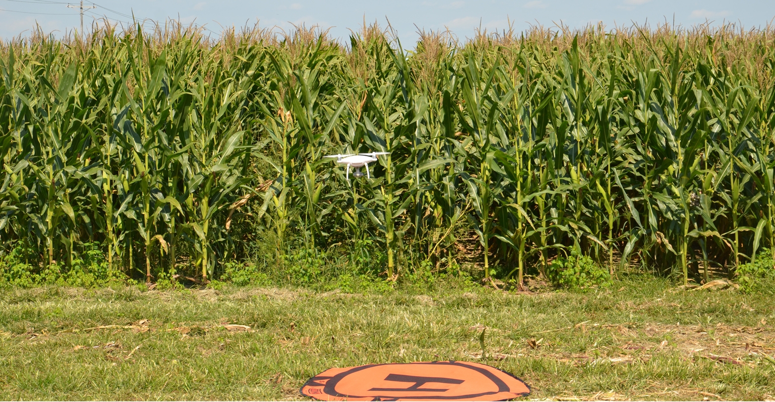 12 steps to scouting crops successfully with UAV