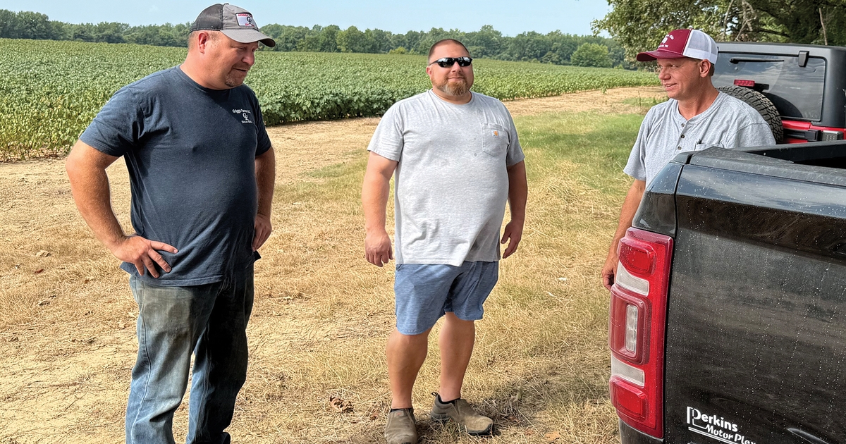 Drought and debt threaten Tennessee farm survival