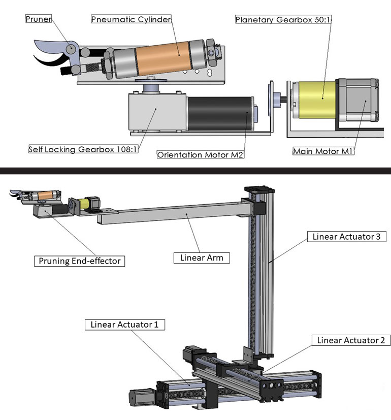 Robotic pruning arm first step toward automated pruning