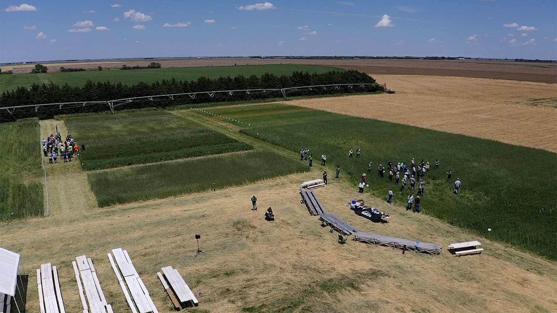 Cover crop demo plots at Farm Progress Show offer management insights