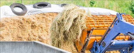 Take silage safety seriously