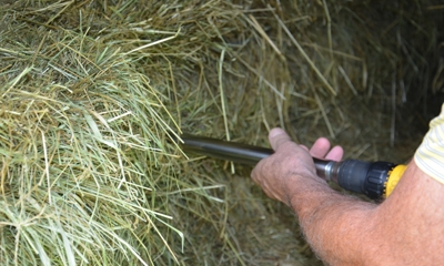 3 easy steps to take a quality forage sample on your farm