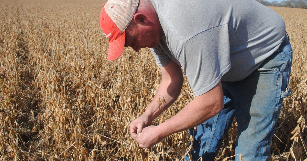 Clinics focus on top crop issues