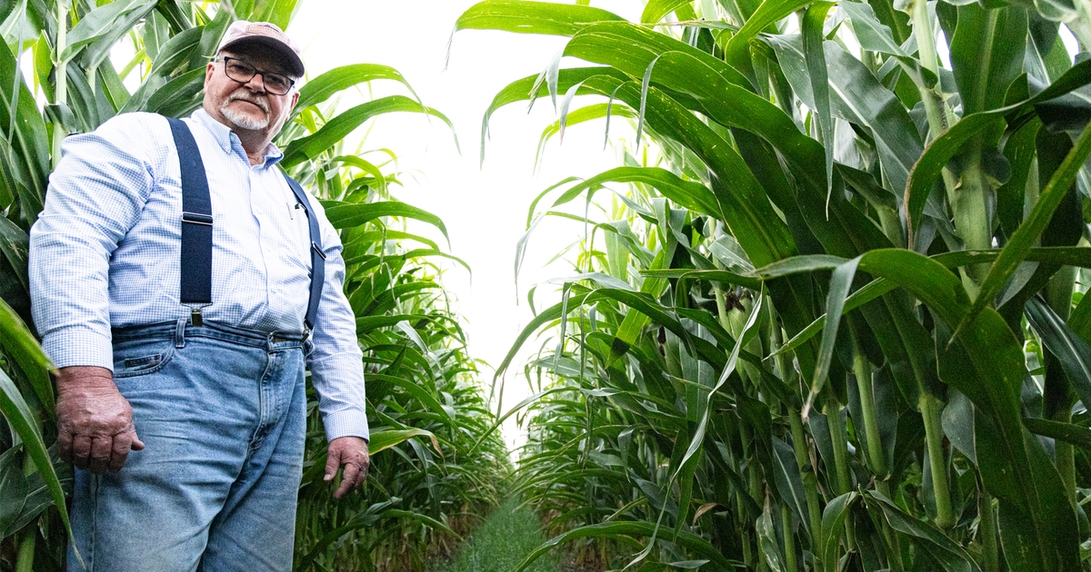Why this farmer bucks conventional corn spacing with 60-inch twin rows