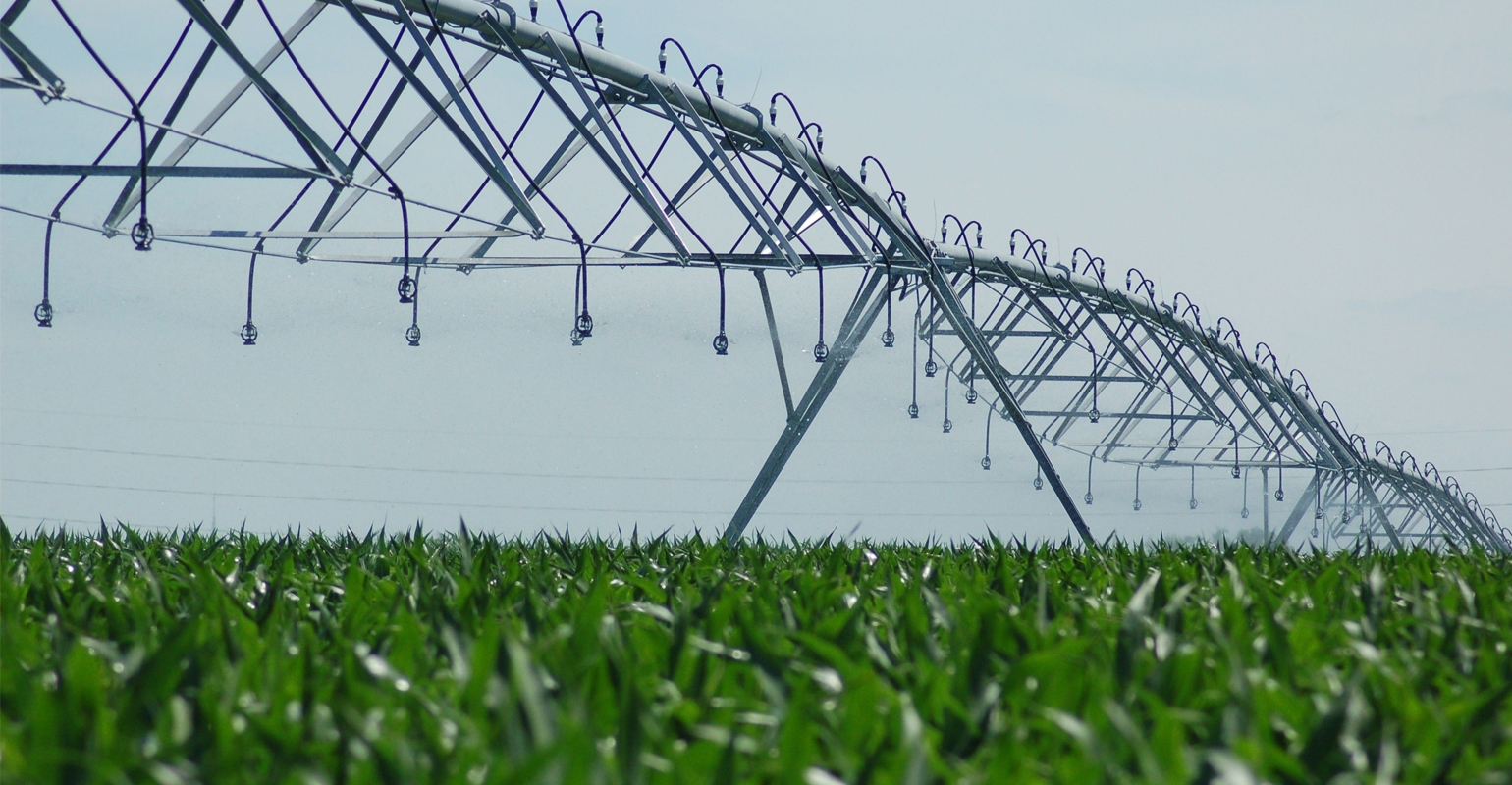 How much water does corn need at vegetative growth stage?