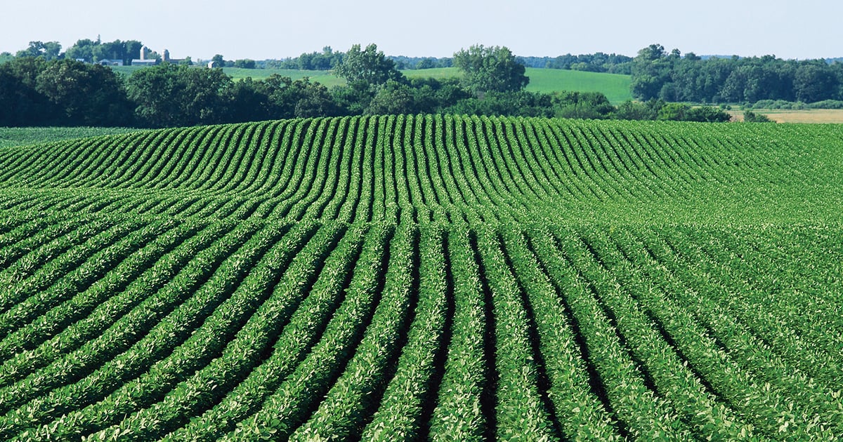 How to manage beans on beans