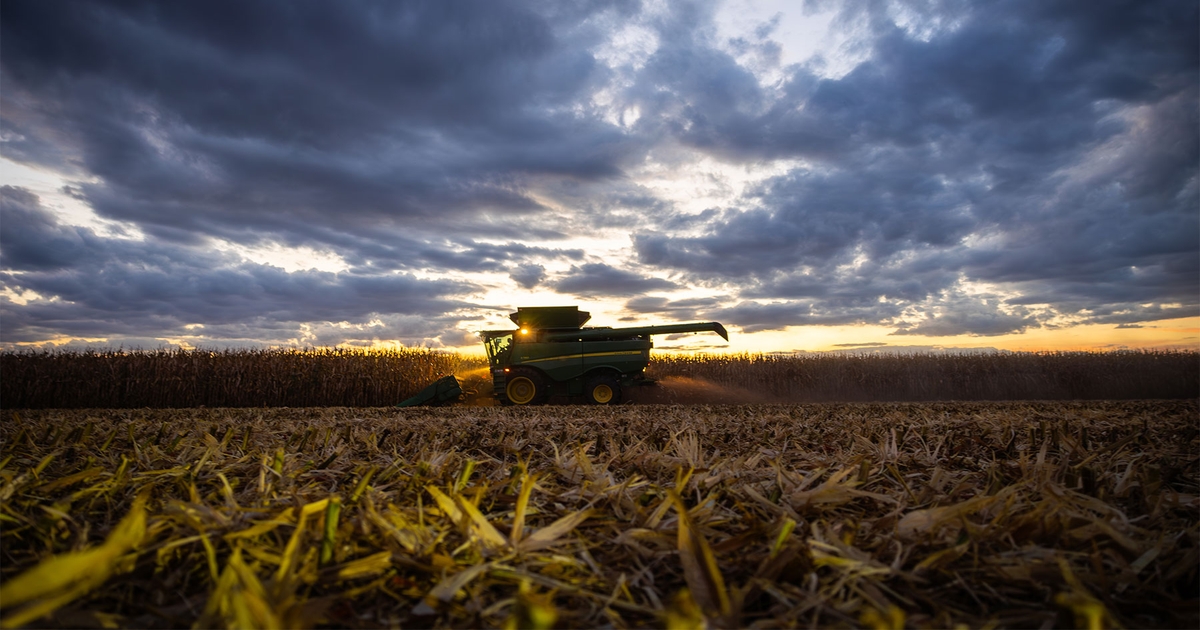 Census reflects Illinois ag strengths, changes