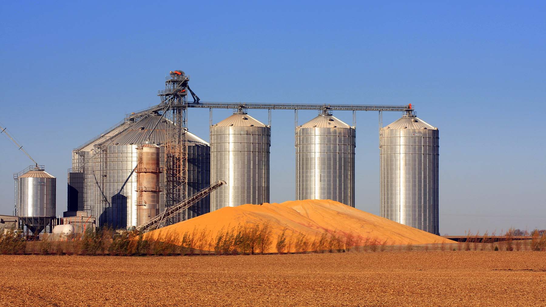 Corn, soybeans rally on USDA’s surprisingly large harvest cuts