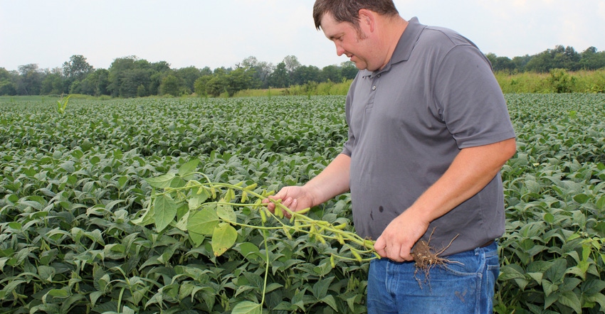 Maximize Soybean Yield In Season