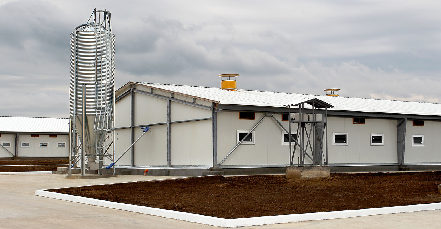 Another legal attack on large-scale livestock farms