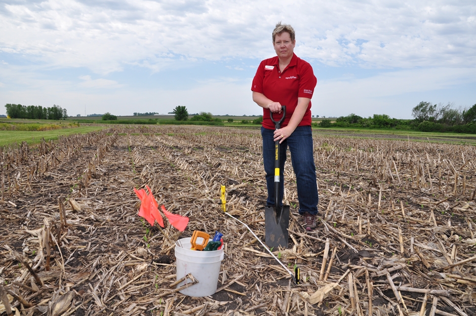 Crop Scouting: Part 1 - Tips and Tools | Farm Progress