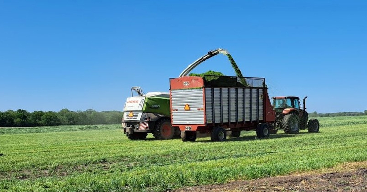 Still time to boost forage inventory