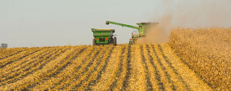 Calculate Nutrient Removal Rates By Grain Crops To Decide Fertilizer Rates