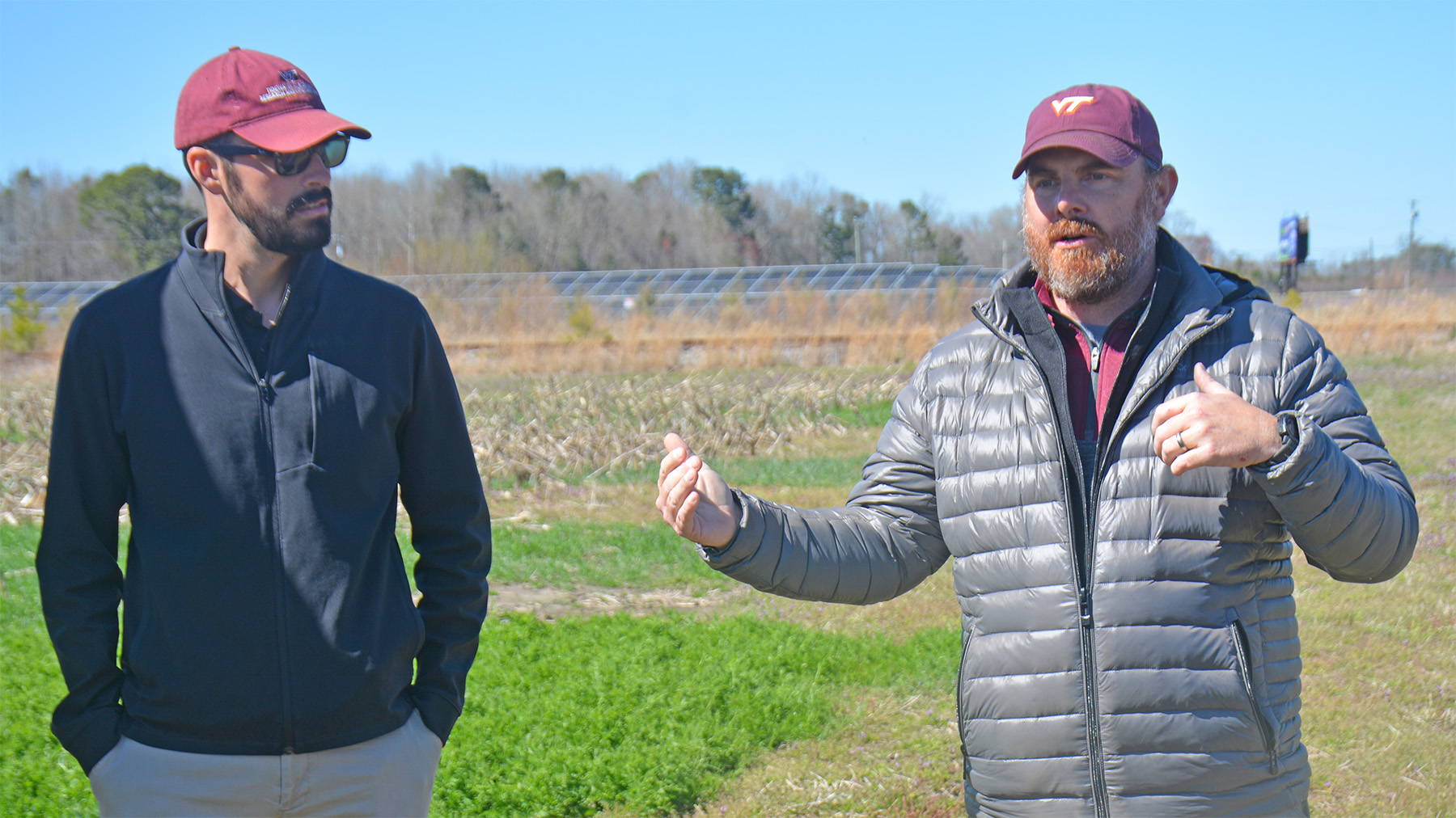 Cotton recent news | Farm Progress