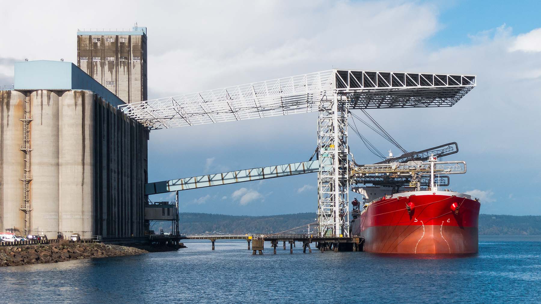 USDA grain exports: Wheat surges, corn steady, soybeans lag