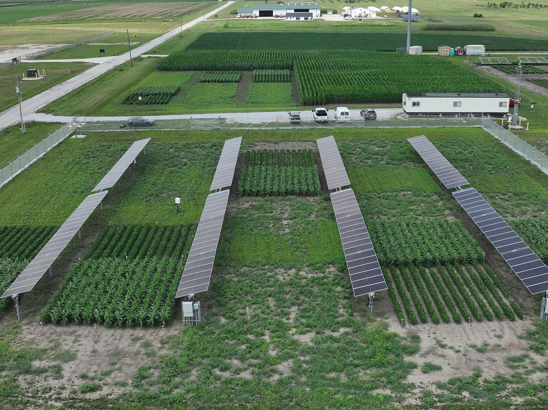 Agrivoltaics creates dual income for small farms