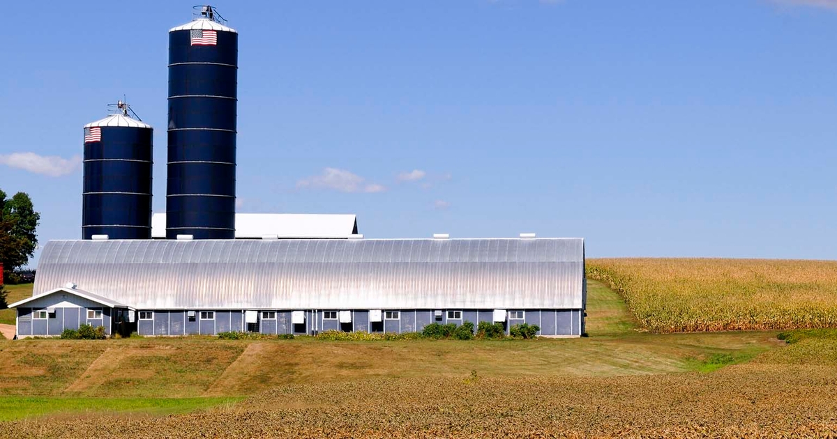 Can you describe your farm’s culture?