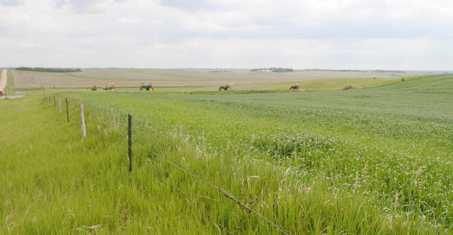 Cropland, pasture ground in demand