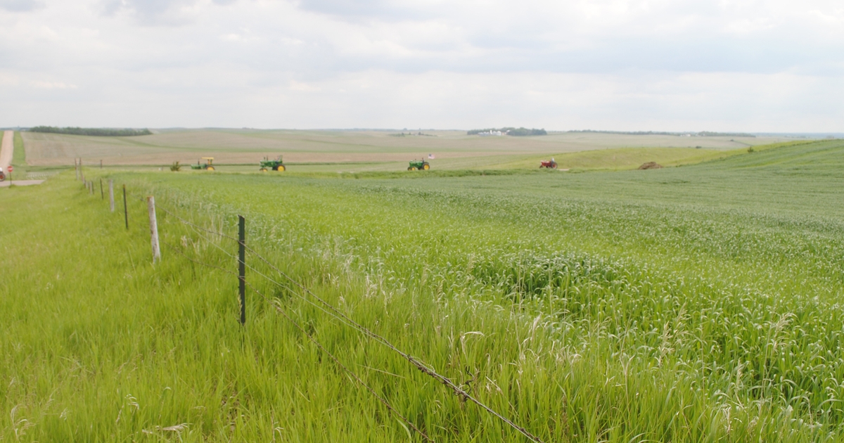 Cropland, pasture ground in demand