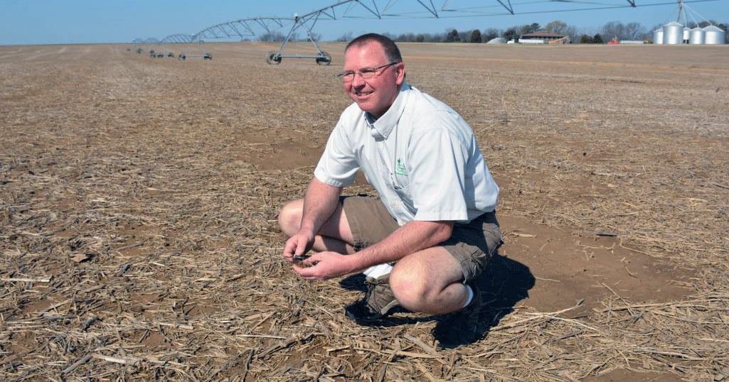 Planter style, uniform stand are vital keys to record corn yield
