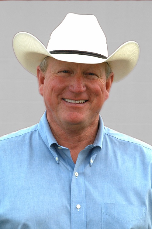 Set up success when weaning and preconditioning calves