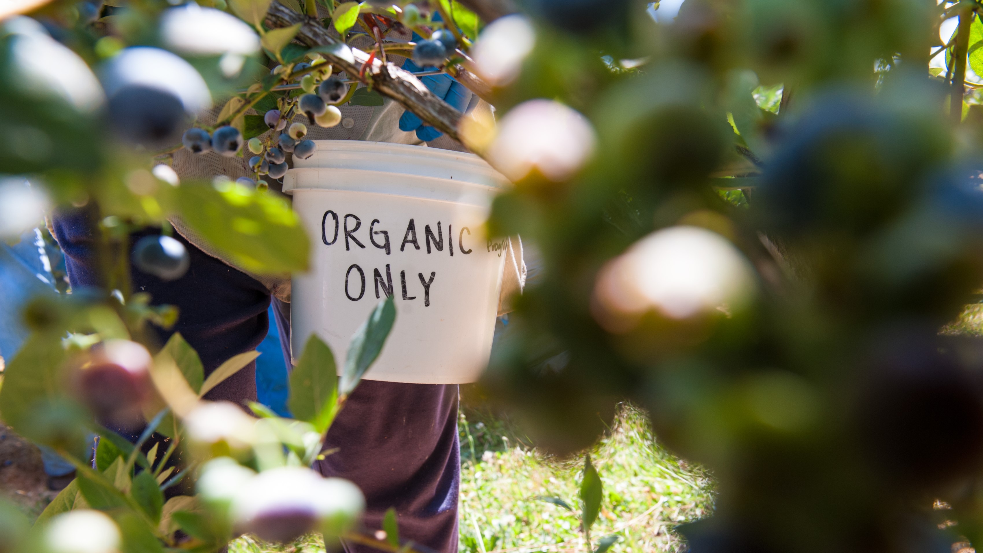 Magazines | Farm Progress