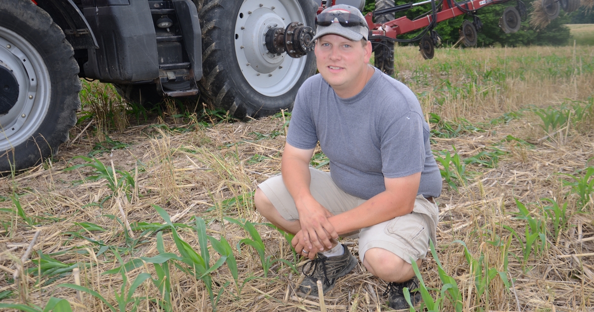 Think of cover crops and tile as field maintenance