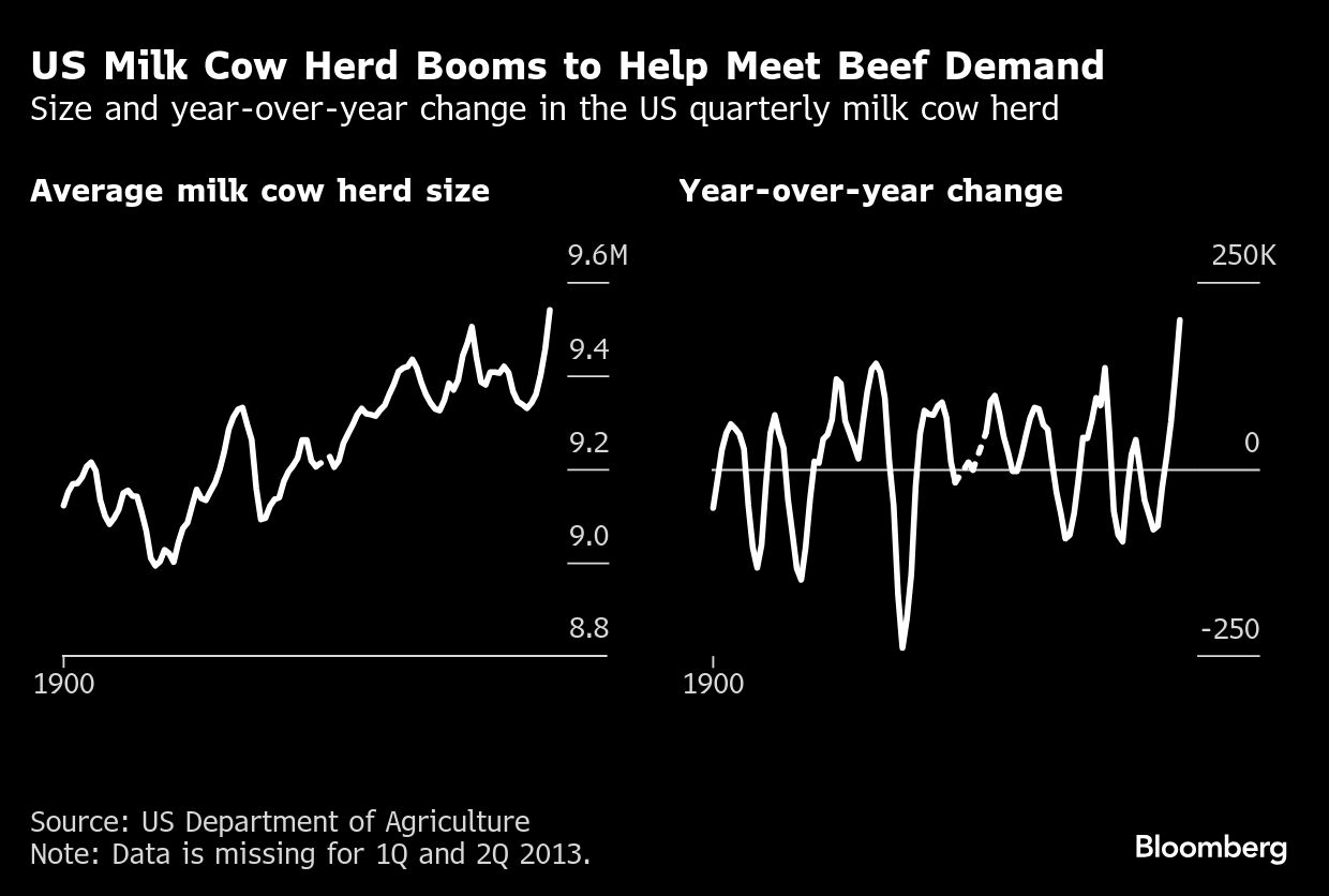 Surge in dairy signals some relief for beef shortage