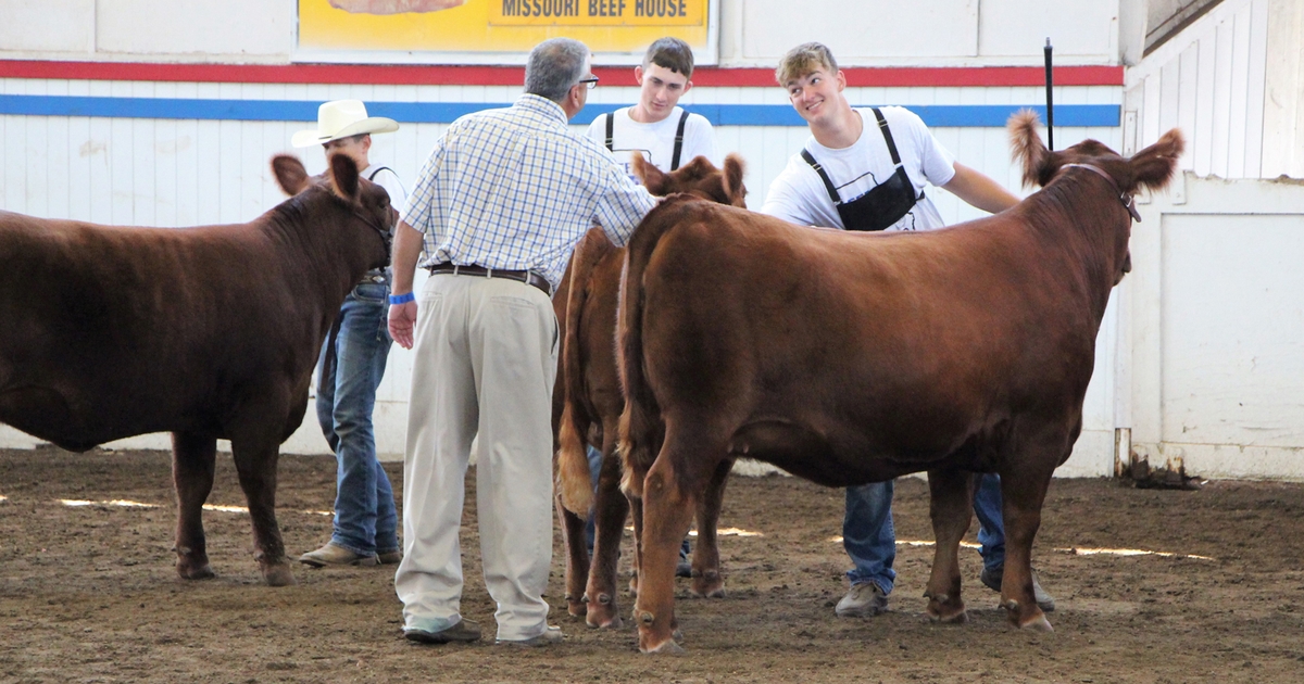Fairs are family tradition in rural America