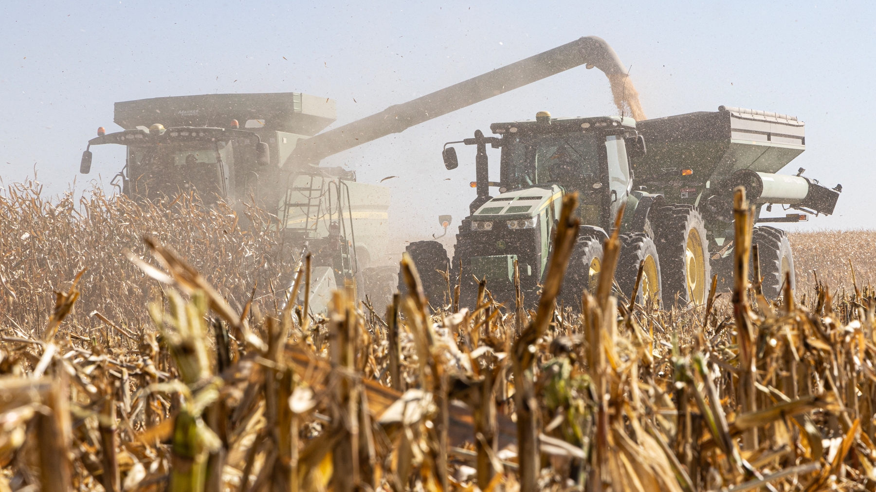 Compare costs for custom work in 2025