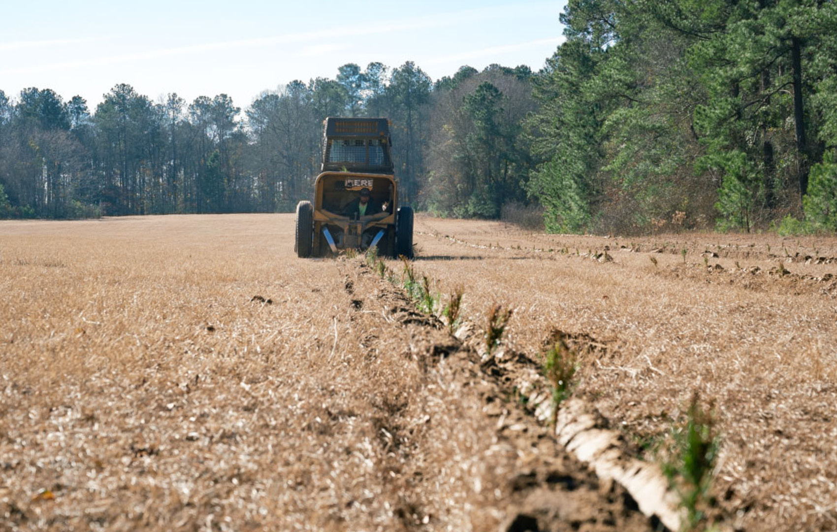 Turning Idle Acres into Reliable Income