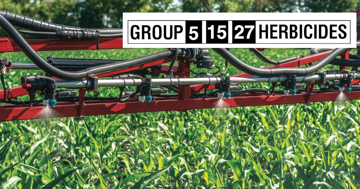 Plan effective herbicide program